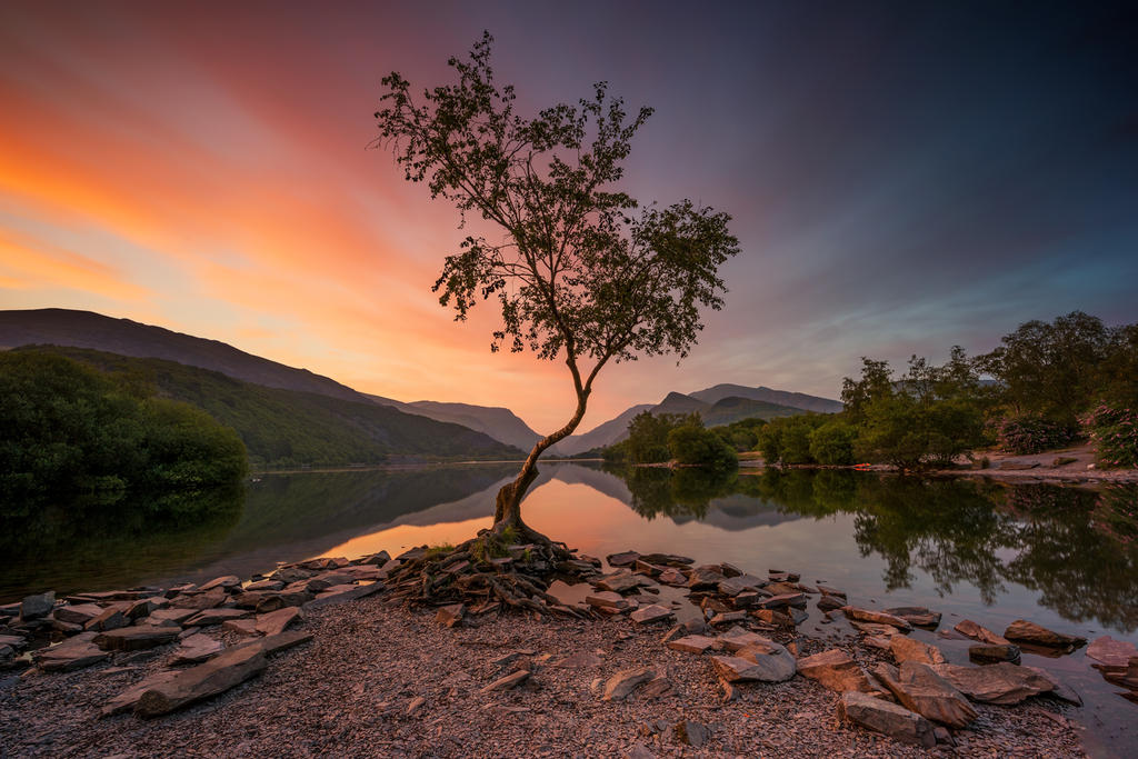 Llyn Padarn Lake, Llanberis with the Lone Tree from today sunrise!
