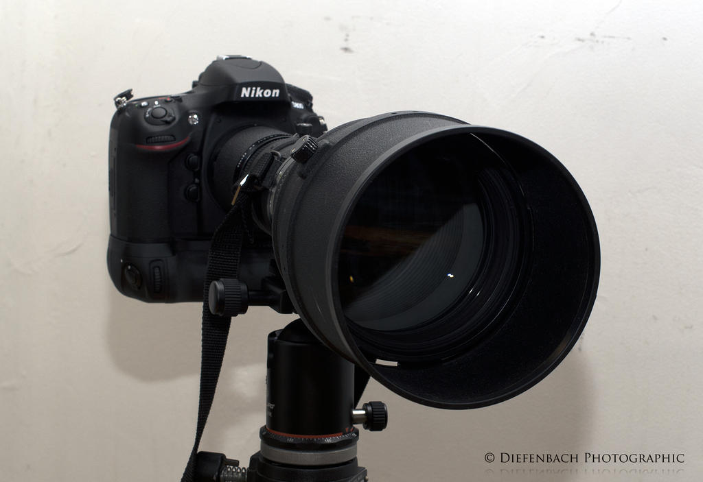 Nikon 300 mm f2.8 AI-S with TC-301 2x converter and Nikon Nikon 300 mm f2.8 AI-S with TC-301 2x converter and Nikon